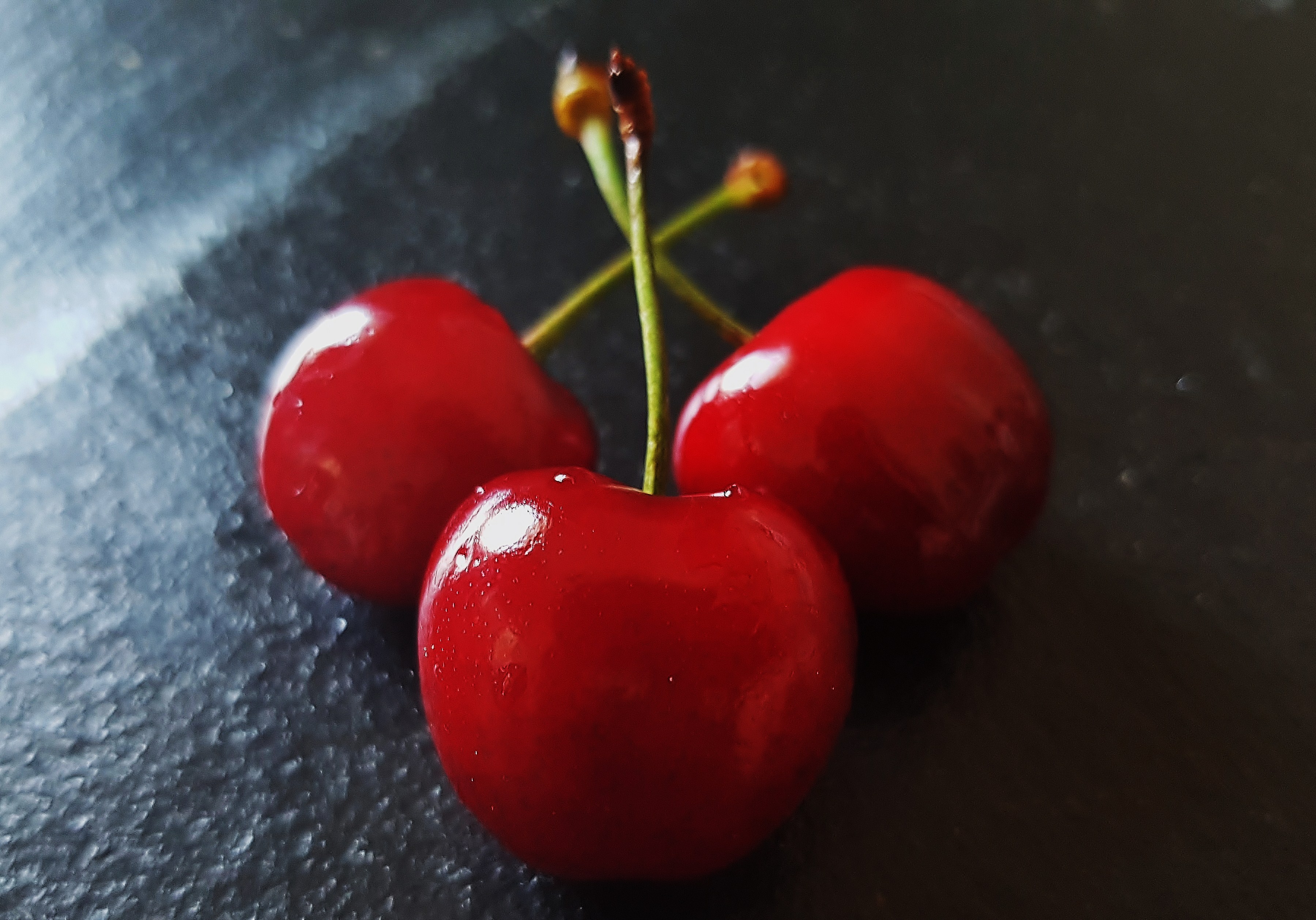 Das Grüne Archiv | Kirsche - Standort, Pflanzung und Pflege