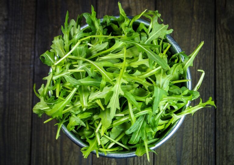 Rucola pflanzen - Wirkung, Anbau und Arten der Rauke | Das Grüne Archiv
