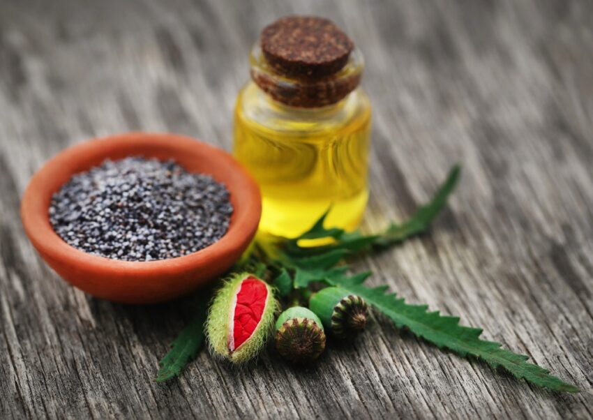 Tinkturen herstellen - Anwendung, Arten und Rezept | Das Grüne Archiv