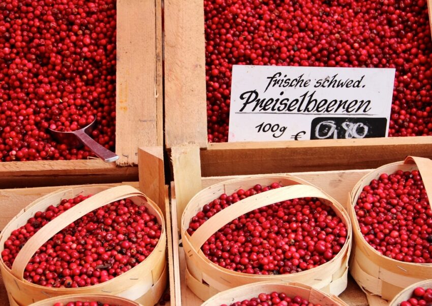 Preiselbeeren als Superfood - Wirkung und Kultur | Das Grüne Archiv